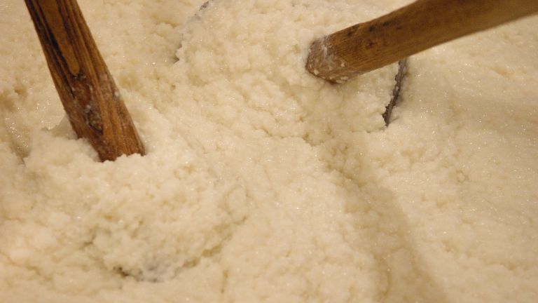 Shubo Series: Kimoto - Sake's O.G. Starter - Sake Revolution